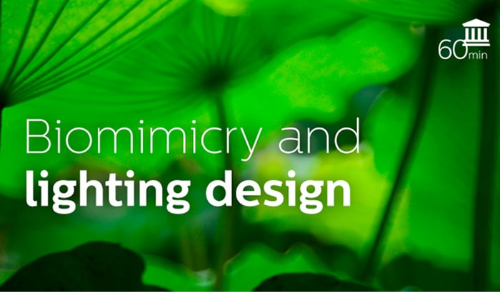Biomimicry: Design Inspired by Nature | Philips lighting