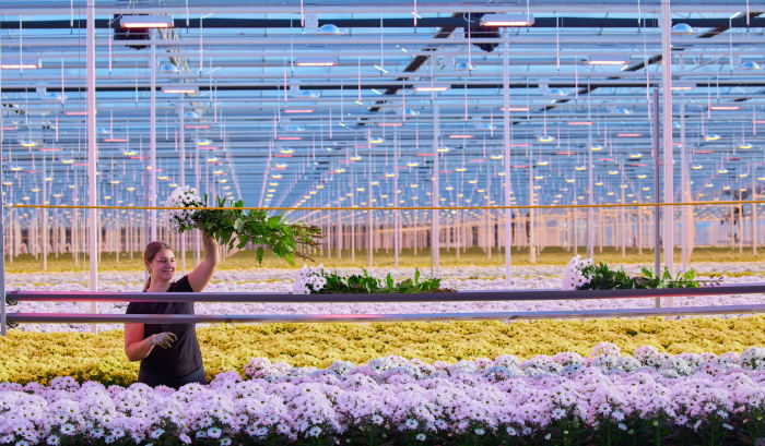 Clever design choices with Philips LED toplighting force | Philips lighting