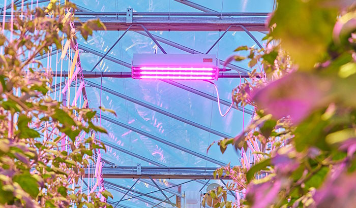 Dynamic LED lighting yields significant savings | Philips lighting