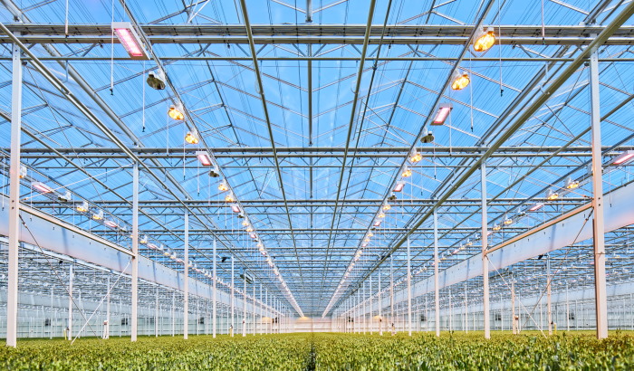 Greenhouse System USA as a new Philips horticulture LED partner network ...