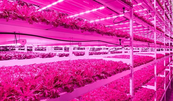 Signify kicks off 2022 tradeshow season | Philips lighting