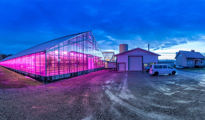 Kontakt | Philips lighting