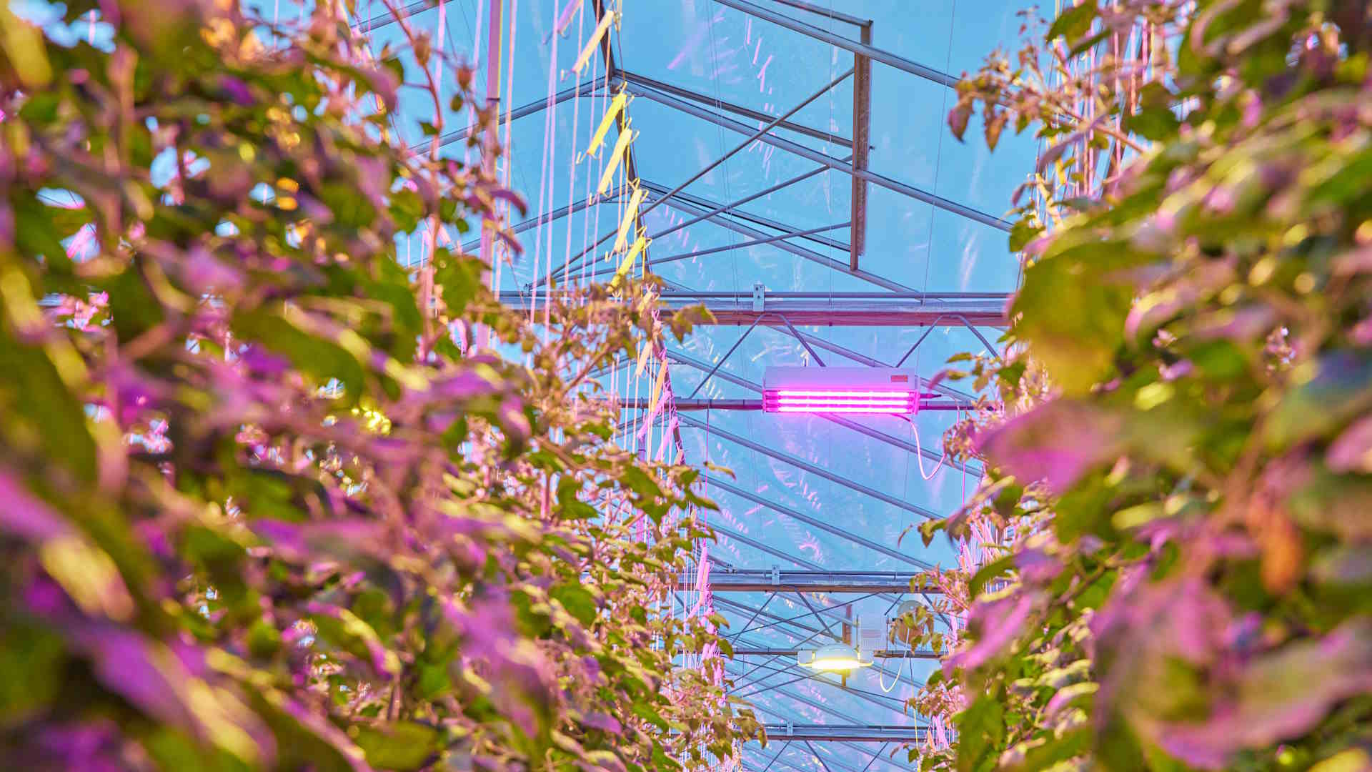 Save on energy cost with dynamic lighting | Philips lighting