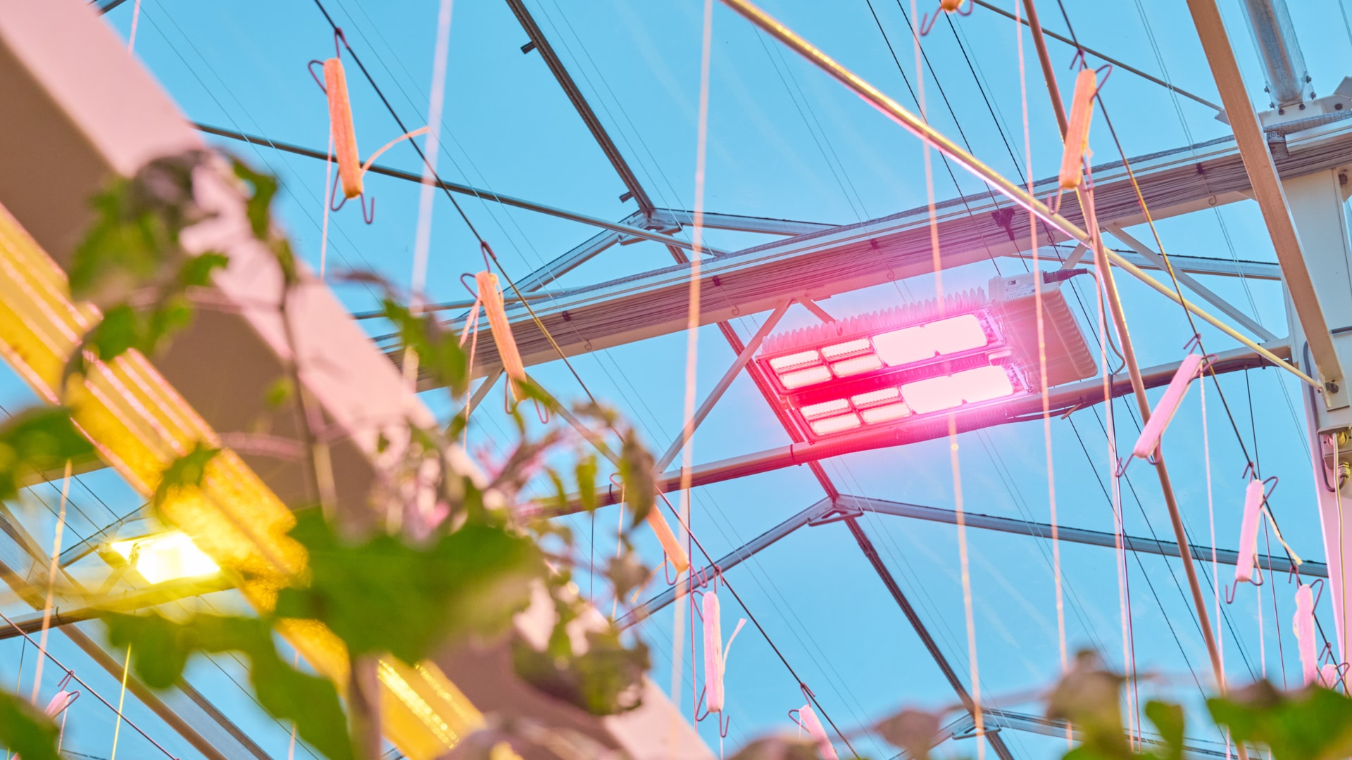 Signify introduces 4-channel Philips GreenPower LED TLF | Philips ...