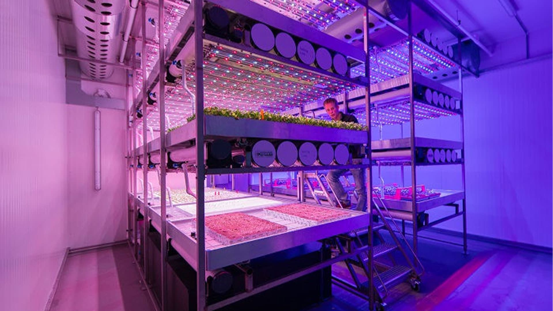 Follow us on a new journey combining floriculture and vertical farming ...