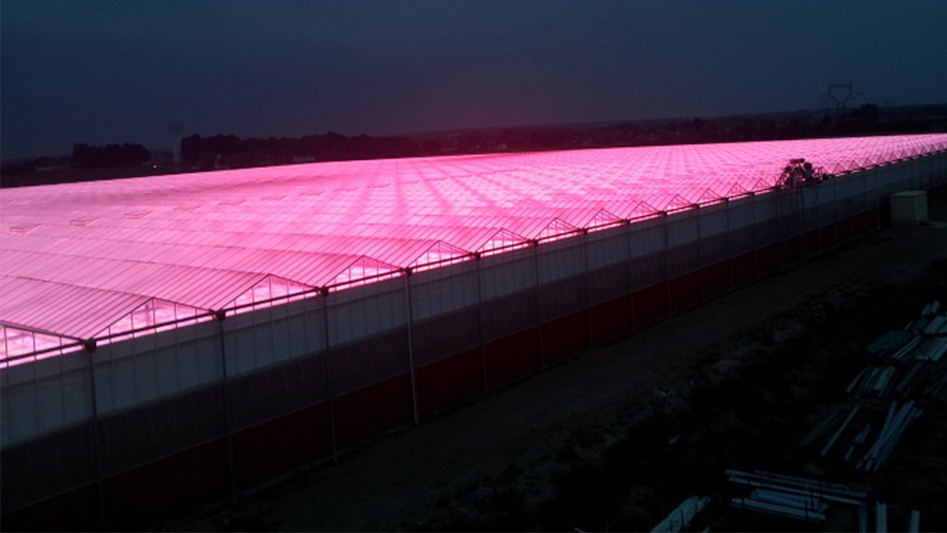 A night shift in the greenhouse for Signify | Philips lighting