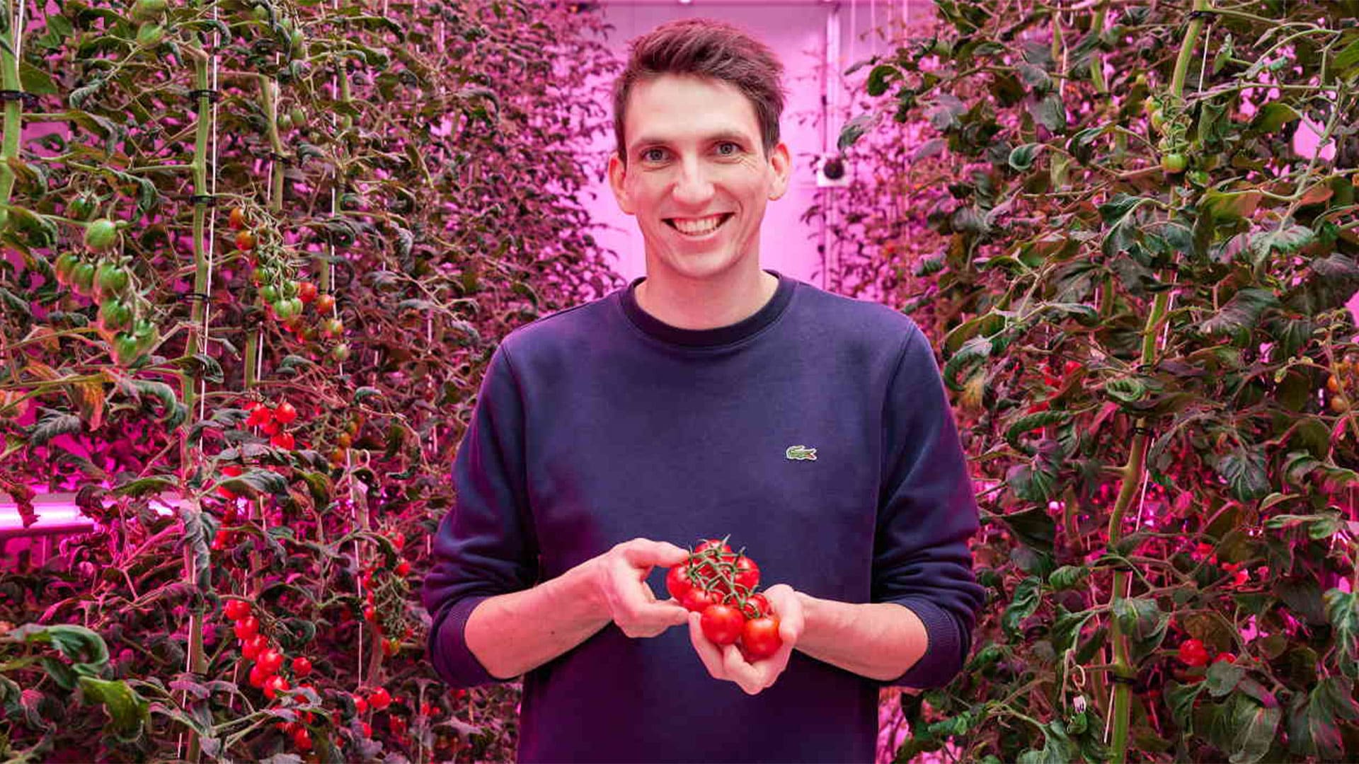 Creating a recipe for growth for indoor farming | Philips lighting