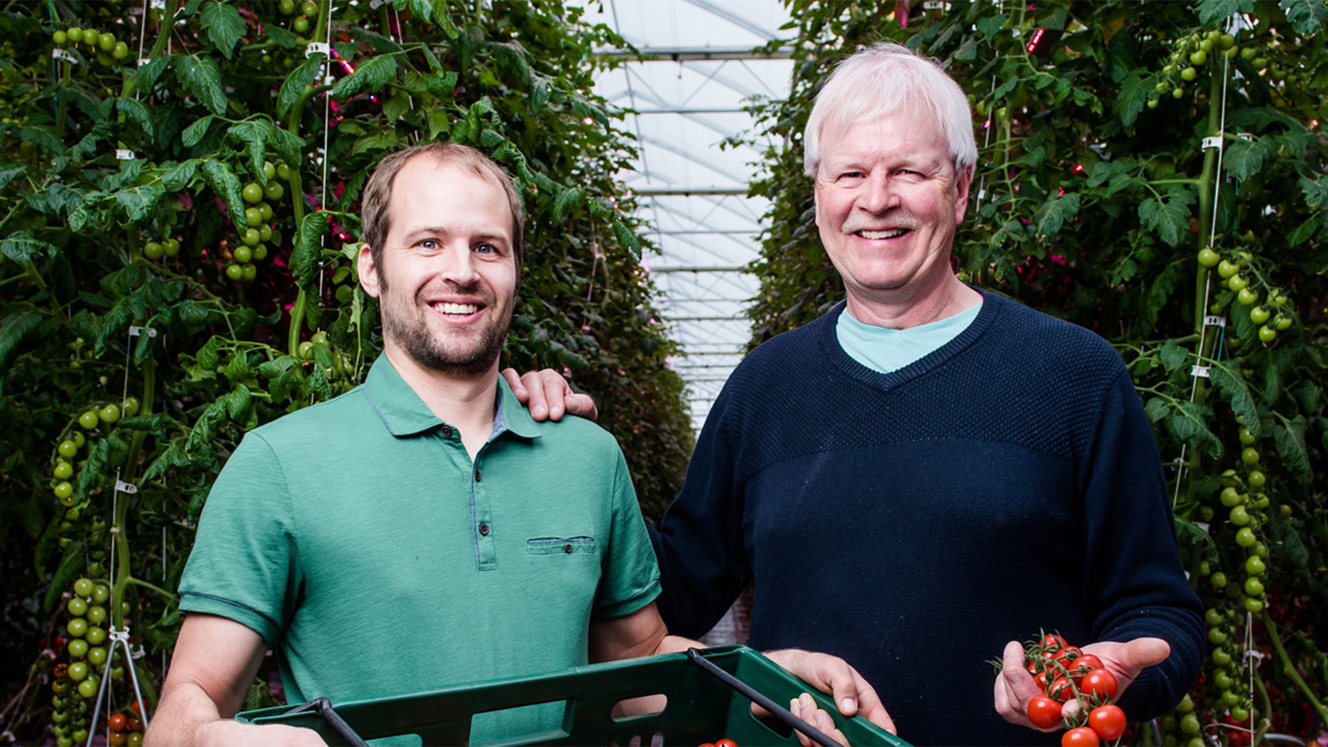 Gull Valley | Philips lighting