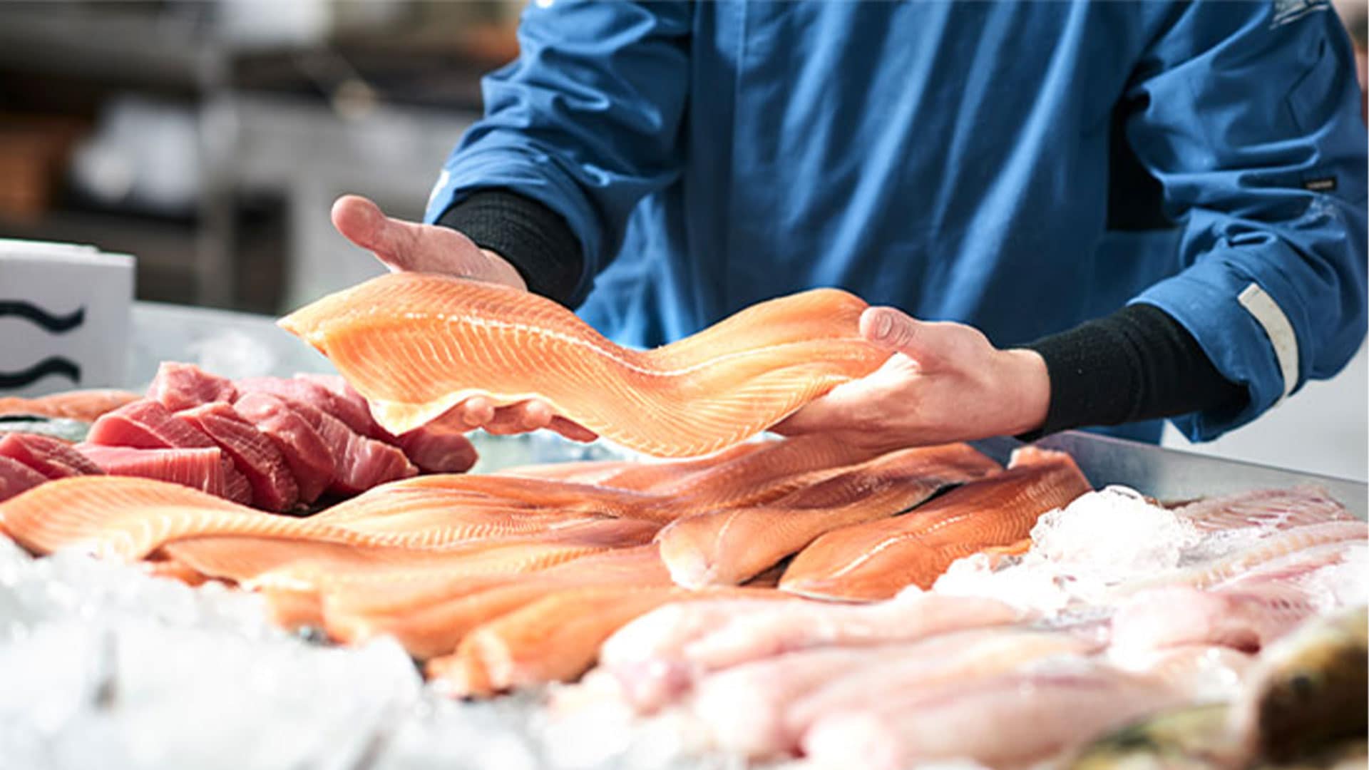 The optimum lighting for fresh fish | Philips lighting