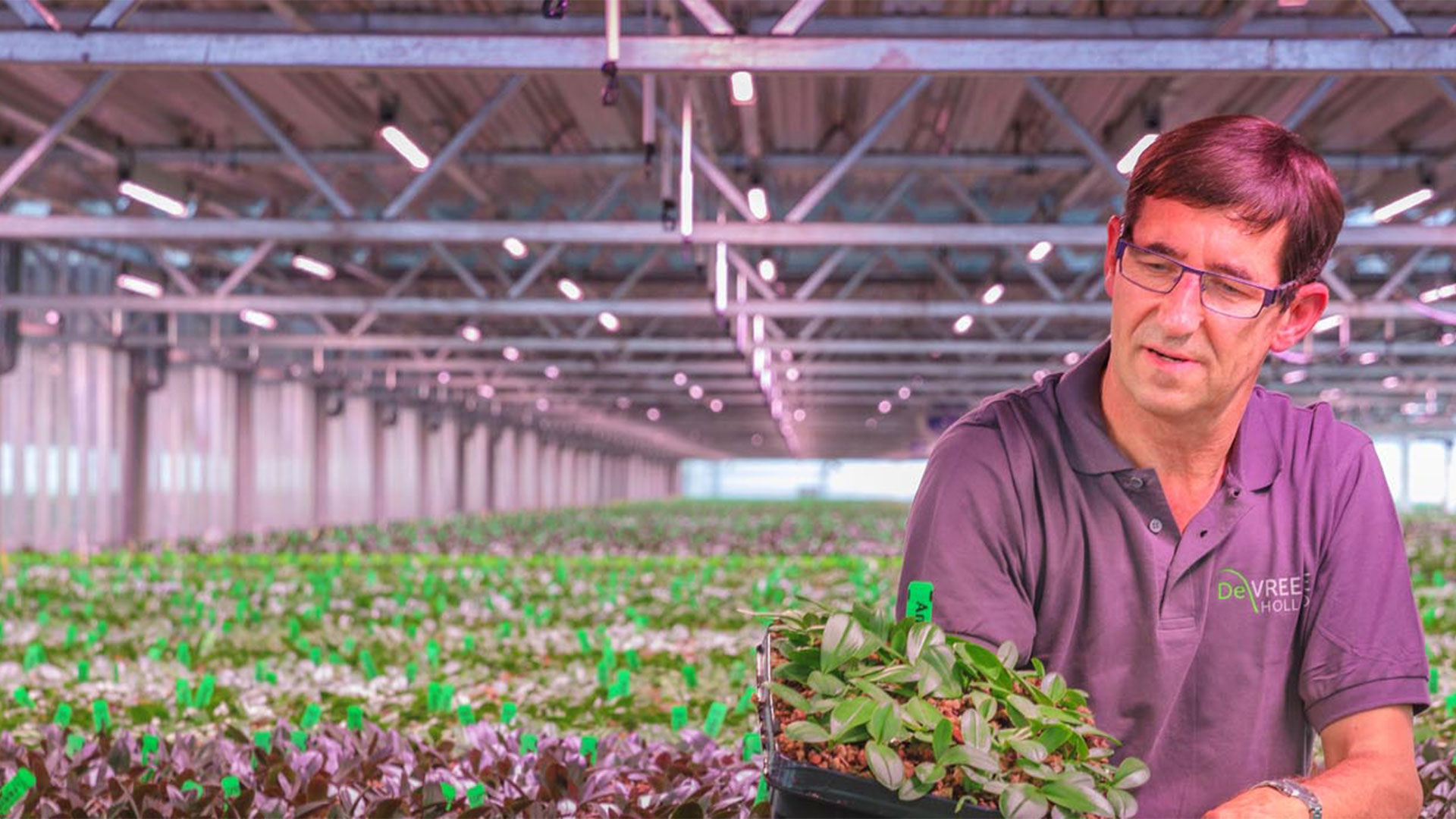 De Vreede | Philips lighting