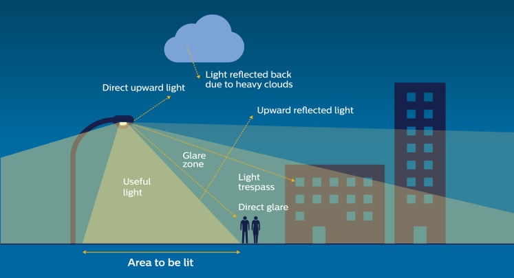 Lighting for both nature and people | Philips lighting